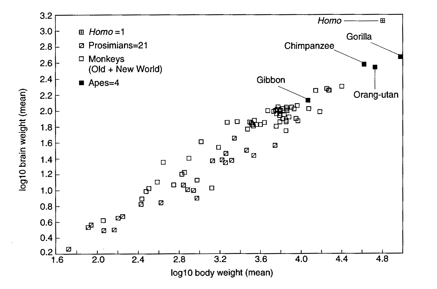 The "big embarrassment" of neuroscience: Brain size increases with body ...